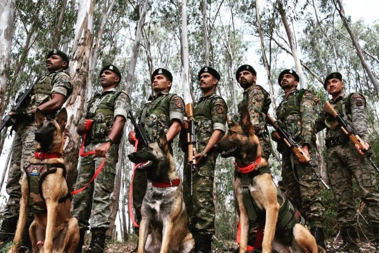 How to join CoBRA Commando?